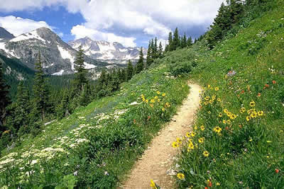 spring_path – 929 Chapters