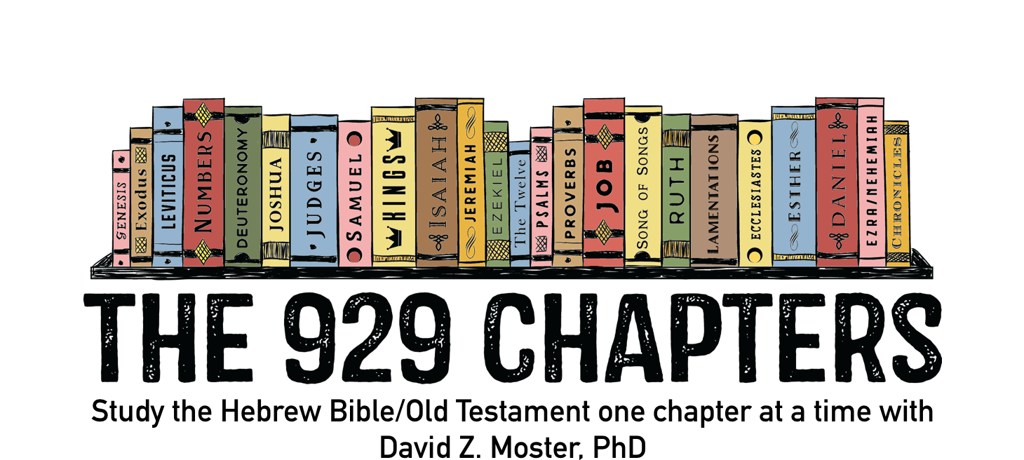 David Z Moster 929 Chapters Hebrew Bible Old Testament Tanakh – 929 ...